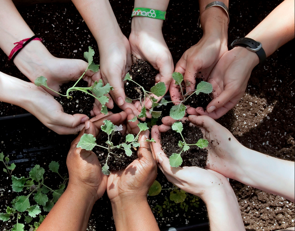 Is Paper Really Bad for the Environment? - Superior Business Solutions